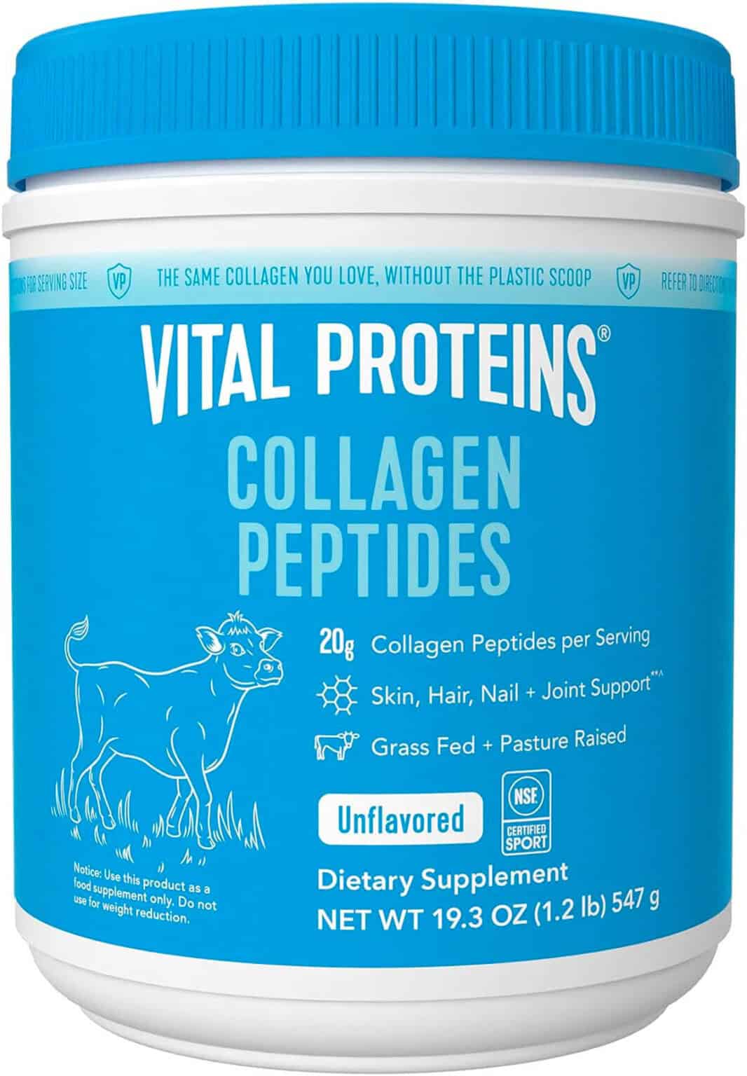 The Best Protein Powders for Kids (2024 Guide) | The Picky Eater