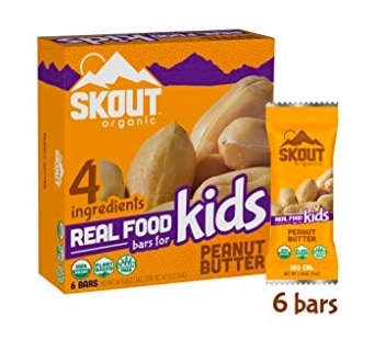 Best Protein Bars for Kids that are Healthy and Nutritious | The Picky ...
