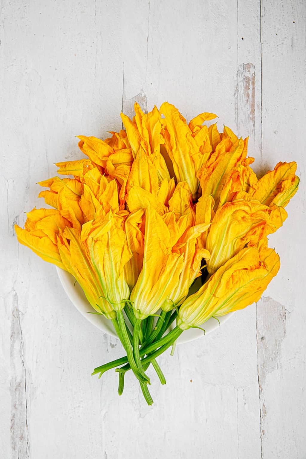 Stuffed Zucchini Flowers | The Picky Eater