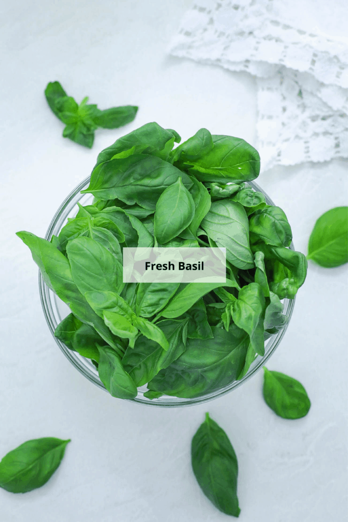 How to Dry Basil in the Oven | Quick and Easy Method | The Picky Eater