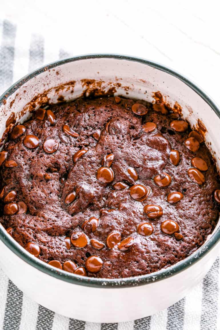 Vegan Mug Cake Recipe Two Ways (Chocolate + Vanilla) | The Picky Eater