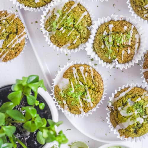 Matcha Muffins Recipe (Gluten Free & Vegan Options!) | The Picky Eater