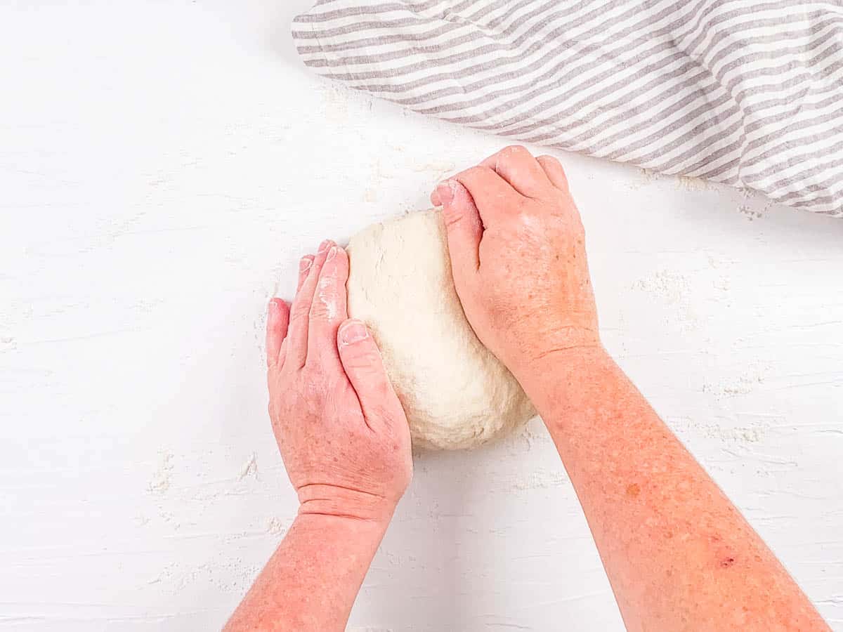 Authentic Guyanese Roti (Paratha Oil Roti) | The Picky Eater