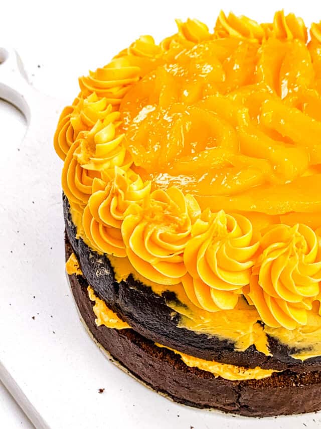 Chocolate Mango Cake | The Picky Eater
