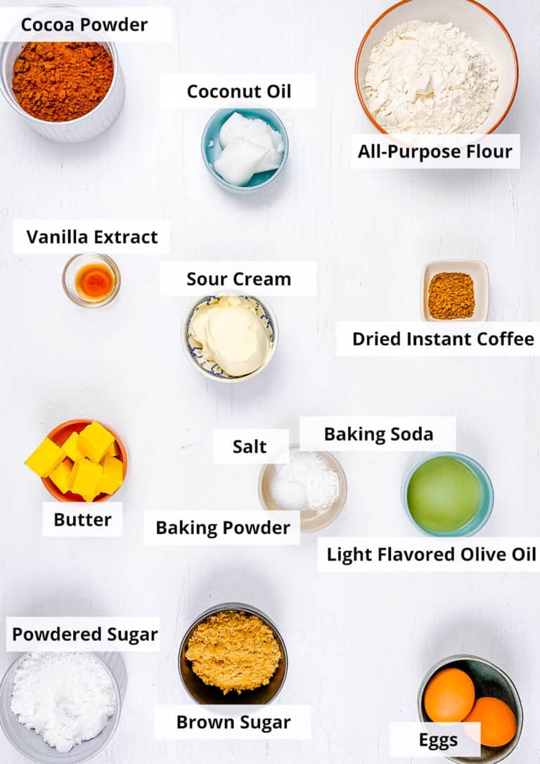 Chocolate Mango Cake | The Picky Eater