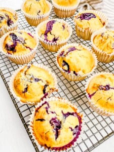 Dairy Free Blueberry Muffins (Easy Recipe!) | The Picky Eater