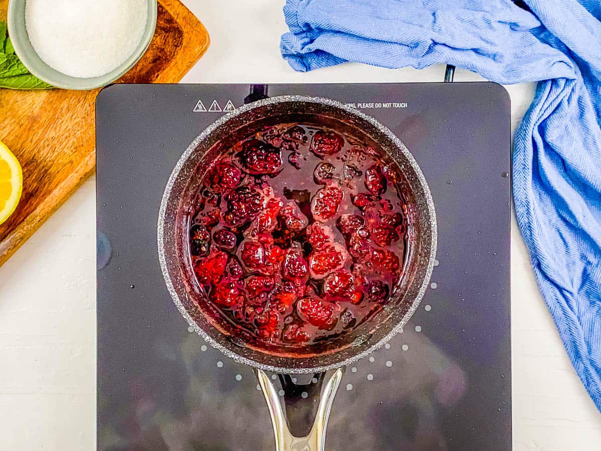 Blackberry Simple Syrup Recipe | The Picky Eater