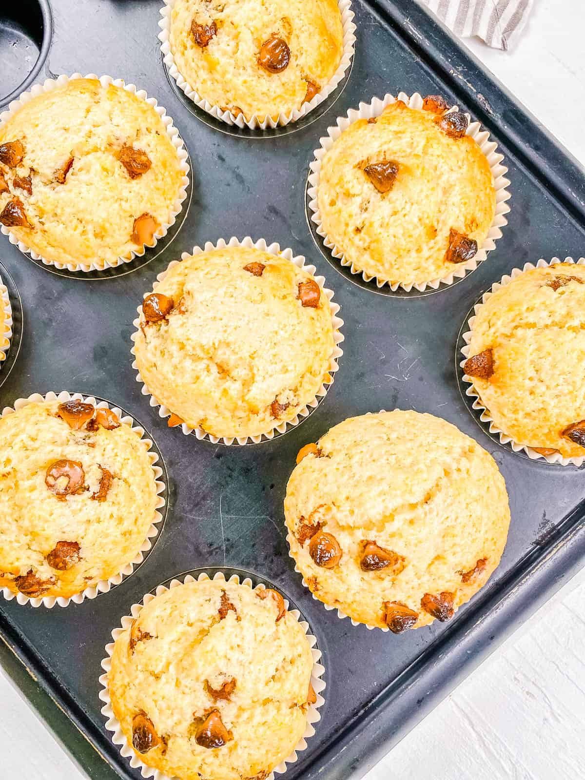 Vegan Chocolate Chip Muffins | The Picky Eater