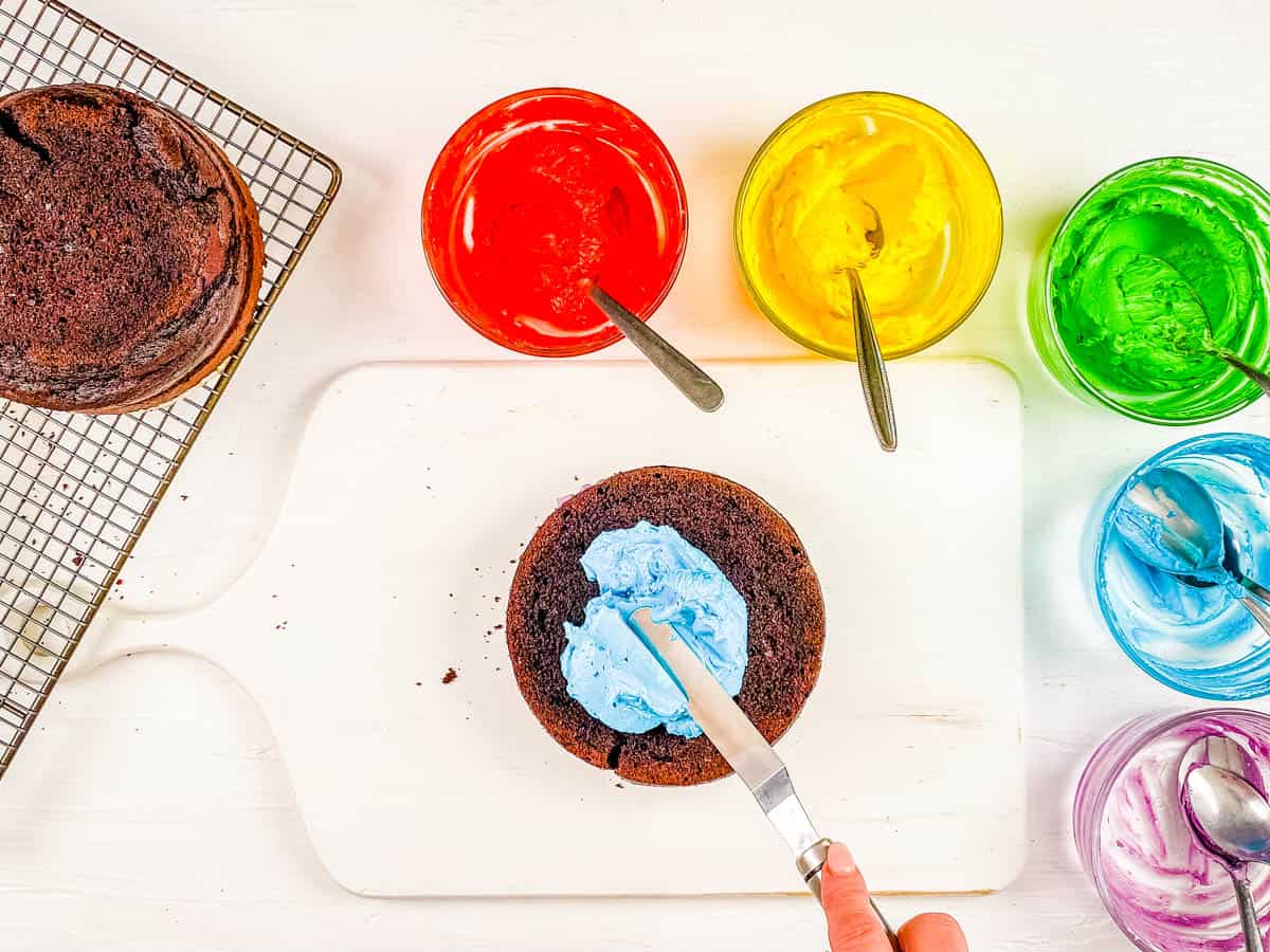 Rainbow Chocolate Cake | The Picky Eater