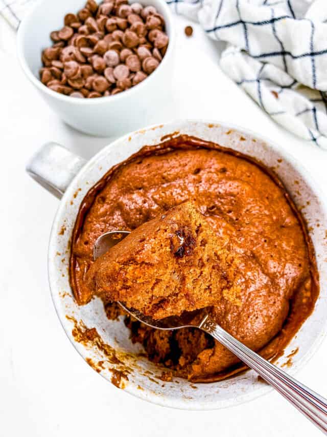 Protein Powder Mug Cake | The Picky Eater