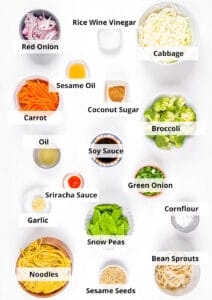 Vegan Chow Mein | The Picky Eater