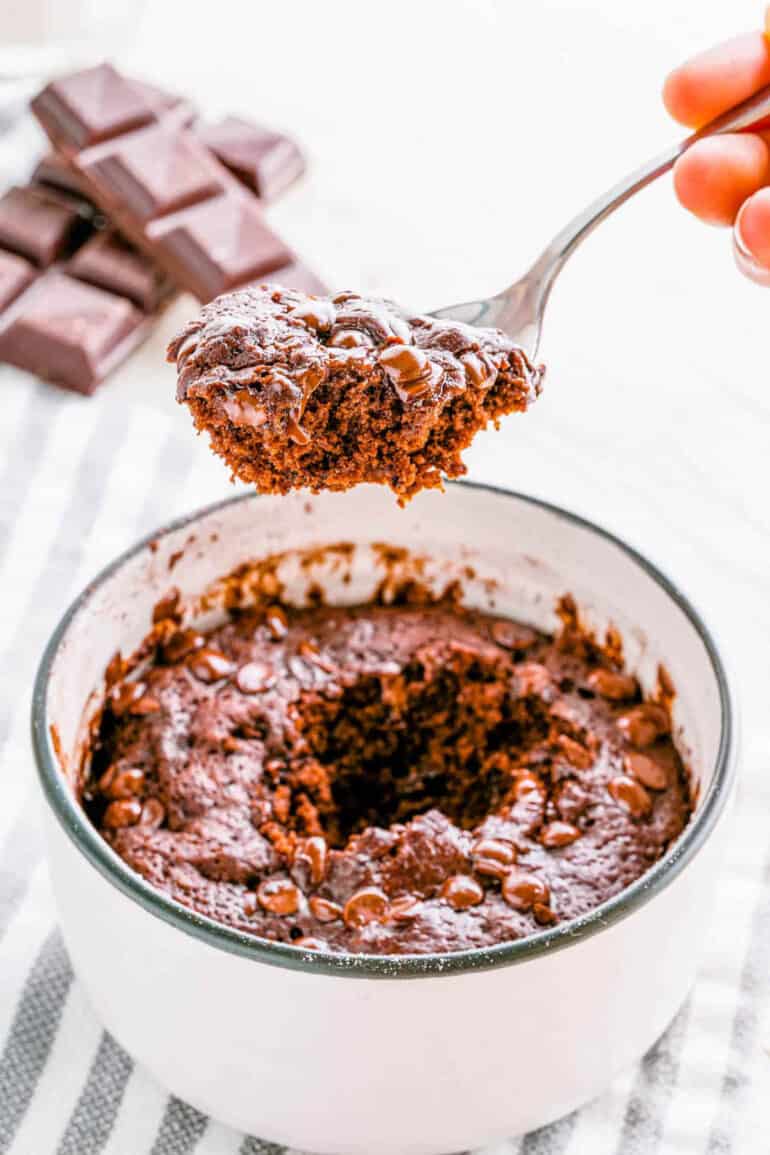 Vegan Mug Cake (10 Ways!) | The Picky Eater