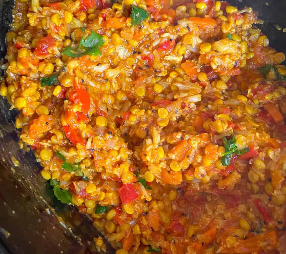 Instant Pot Dal | The Picky Eater