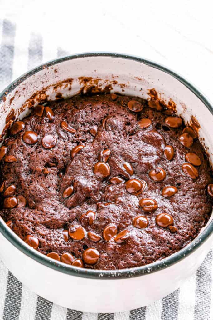 Vegan Mug Cake (10 Ways!) | The Picky Eater