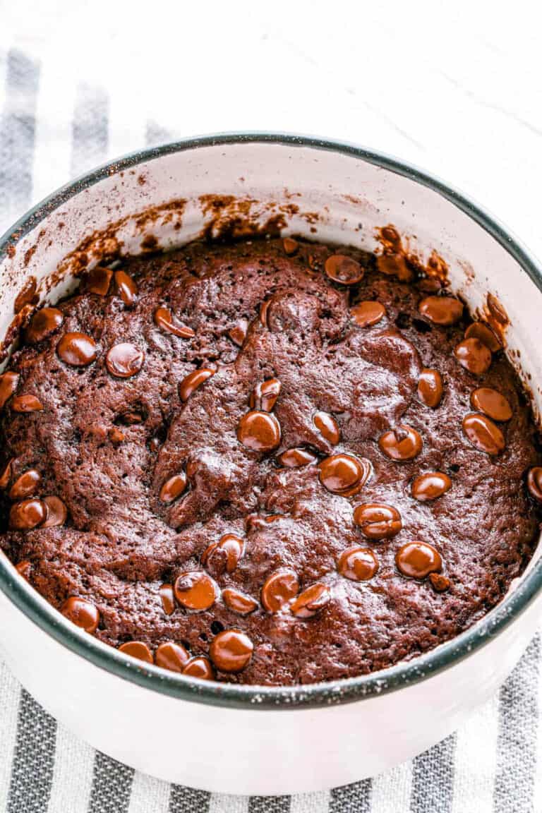 Vegan Mug Cake (10 Ways!) | The Picky Eater