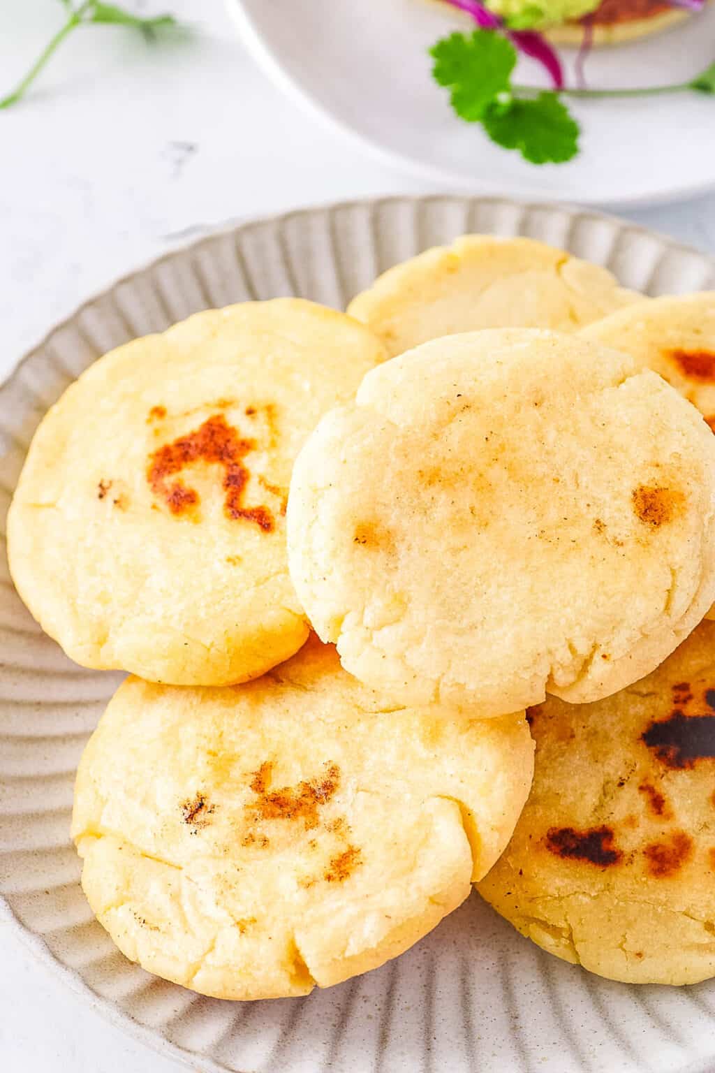 Vegan Arepas (+ Filling Ideas!) | The Picky Eater